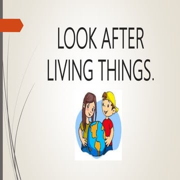 Ns3 unit 1 look after living things | PPT