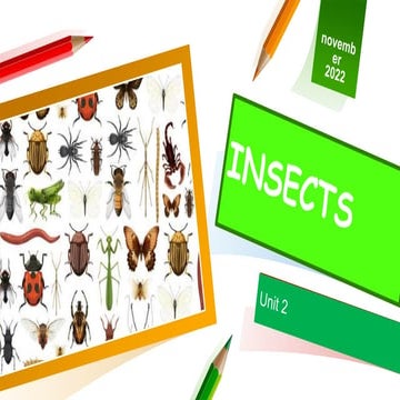 NS3 Unit 2 Insects.pptx