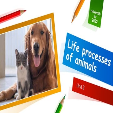 NS3 Unit 2 Life processes of animals.pptx