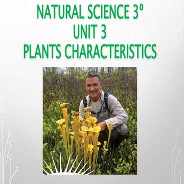 Ns 3 unit 3 characteristics of plants 21 22 | PPTX