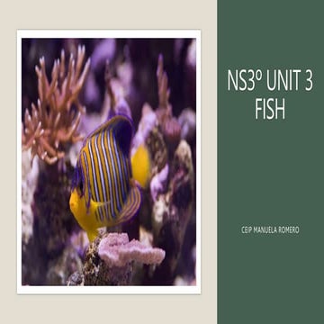 NS3 Unit 3 Fish.pptx