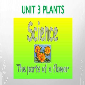 Ns 3 unit 3 parts of a flower 20 21 | PPTX
