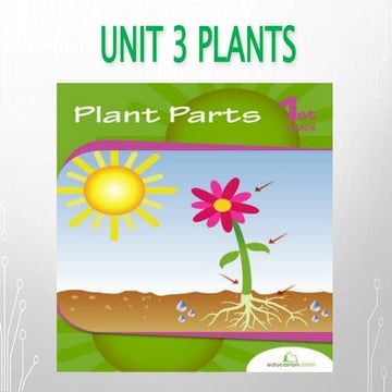 Ns 3 unit 3 parts of plants 20 21 | PPT