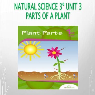 Ns 3 unit 3 parts of plants 21 22 | PPT