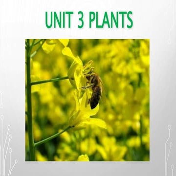 Ns 3 unit 3 reproduction of plants (pollination) slideshare 20 21 ...