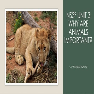 NS3 Unit 3 Why are animals important.pptx