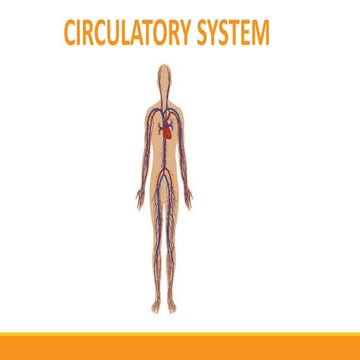Circulatory system | PPTX
