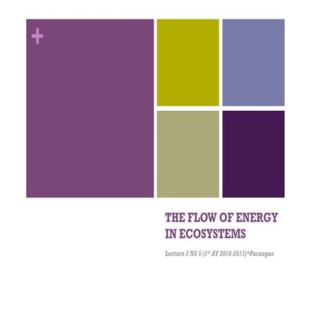 ENERGY FLOW MODELS.pdf