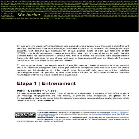 Sóc hacker | 4t eso | PDF