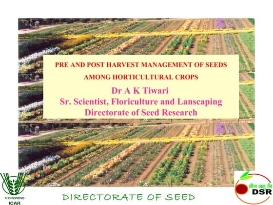 GROWING MEDIA PREPARATION (HORTICULTURE 10) | PPTX | Agriculture ...