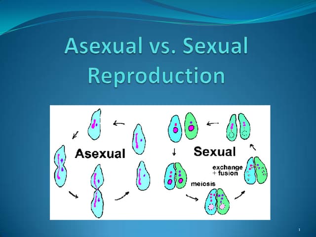 Cell Reproduction ppt for Grade 7 Science | PPT