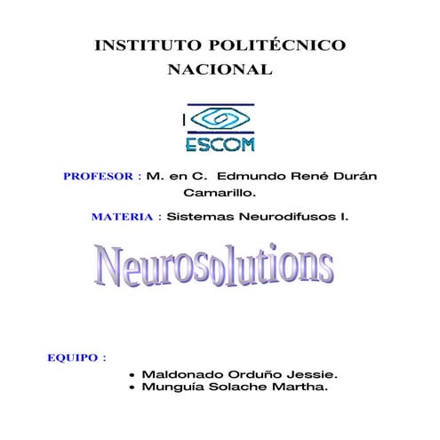 Manual NeuroSolutions | DOC