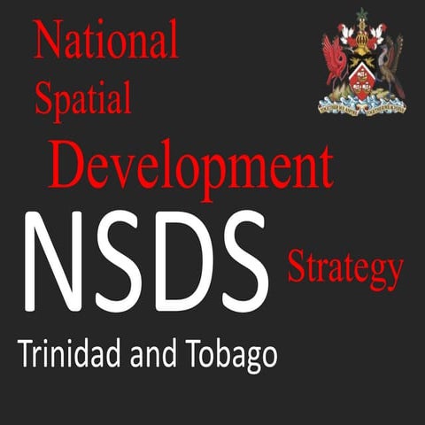 NSDS Consultation Presentation 1 | PPSX
