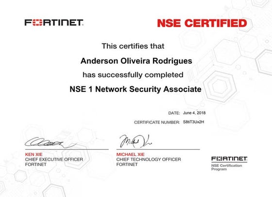 NSE 3 Network Security Associate | PDF
