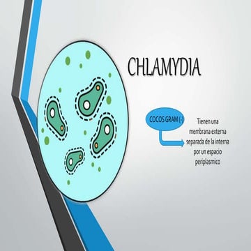 Chlamydia | PPTX | Biological Sciences | Science