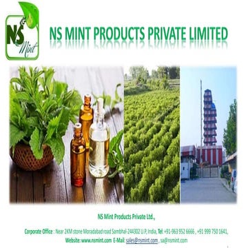 Norex Mint Market Update 2020 | PDF