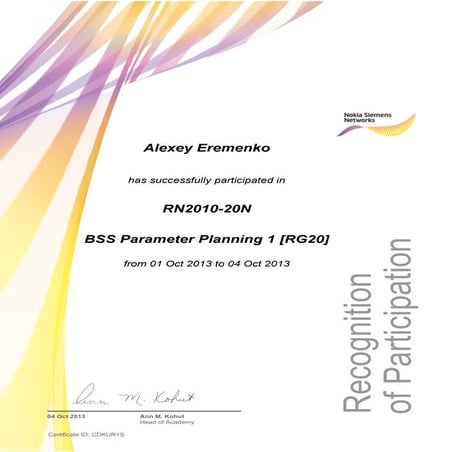 NSN BSS parameters planning certificate | PDF