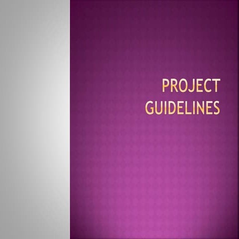 Project guidelines.pptx