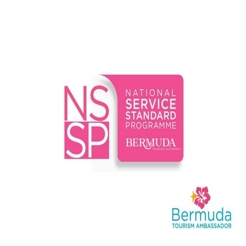 National Service Standards Programme | PDF