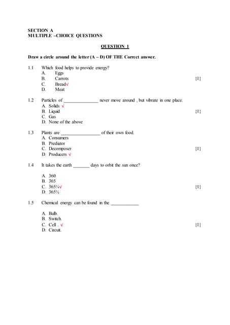 Grade 7 ns exam | DOCX