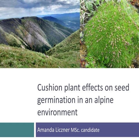 cushion plant effects on seed germination of alpine plants | PPTX