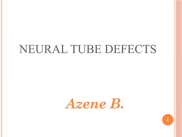Neural tube defect presentation | PPTX