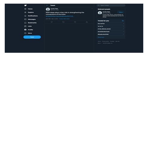 REM sleep plays a key role in strengthening the connection of the brain ...