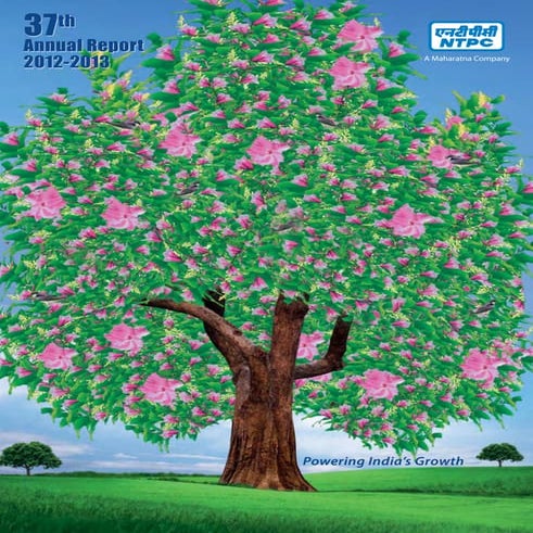 Ntpc ar-2012-13 | PDF