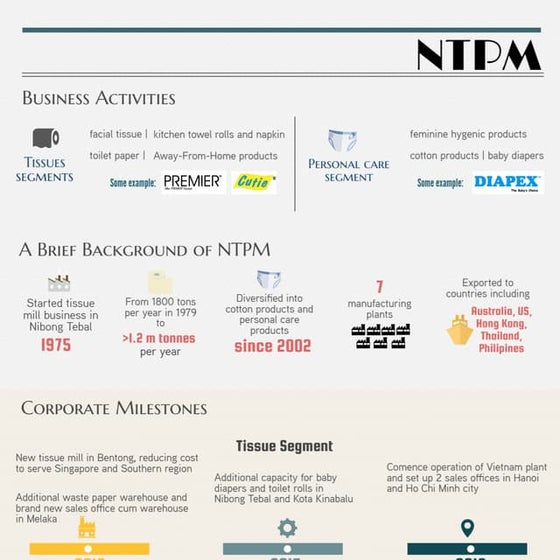 Insas Berhad Infographic | PDF