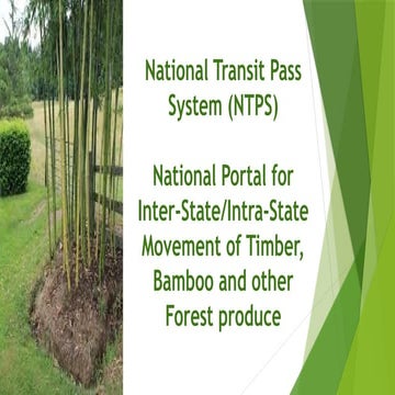 National transit pass system online help | PPTX