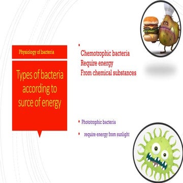 Bacterial nutrition | PDF
