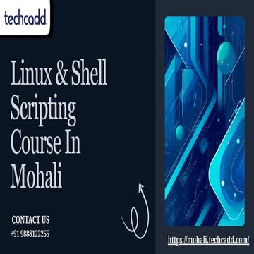 Best Shopify Development Course in Mohali | E-commerce Training ...