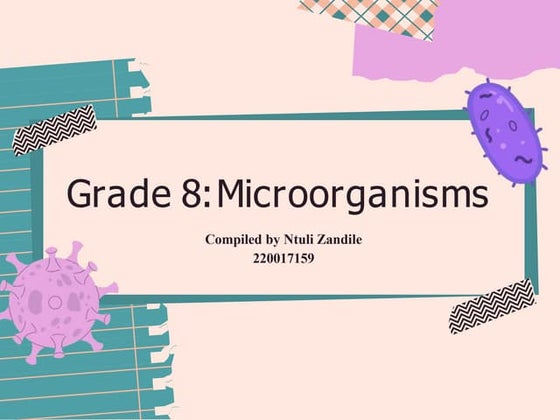 Harmful and Useful Microorganisms Presentation | PPTX