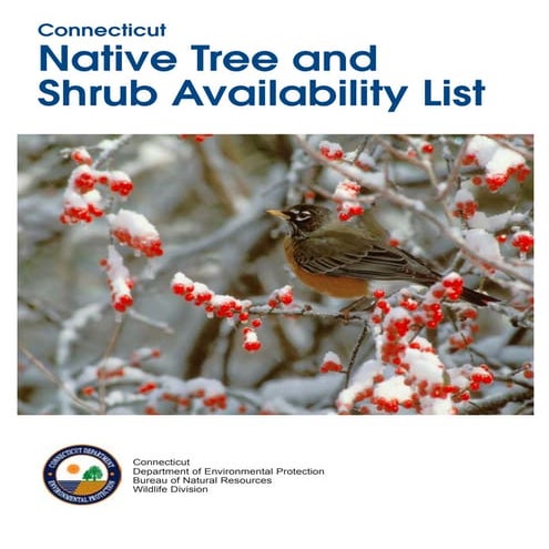 Connecticut Native Tree and Shrub Availability List | PDF