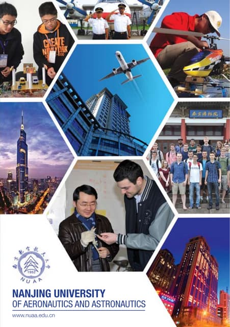 UG Programme Leaflet - AAE.pdf