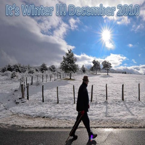 Early Winter - December 2010 | PPS