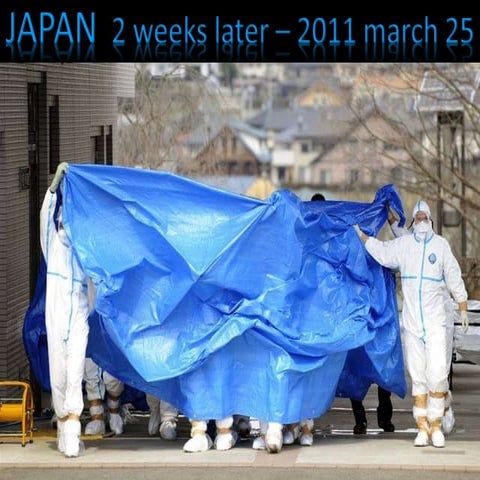 Japan Earthquake Case Study | DOCX