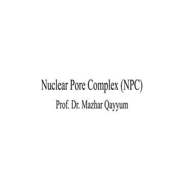 Nuclear Pore Complex (NPC) and its importance.pptx