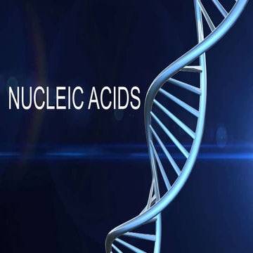 Nucleic acid | PPTX | Biological Sciences | Science