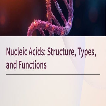 Nucleic-Acids_-Structure-Typ...-1.pdf 011 | PDF