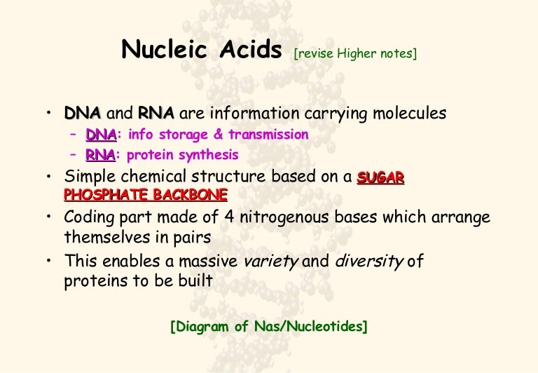 Nucleic Acid Definition