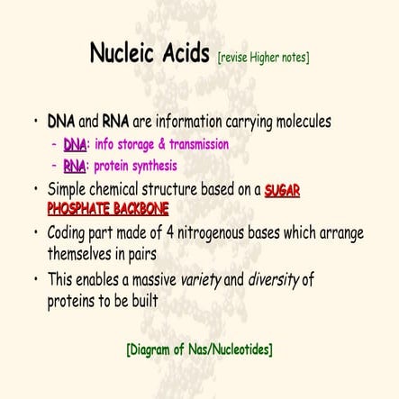 Nucleic Acid Function Nucleic Acid: About, Structure, Functions & More