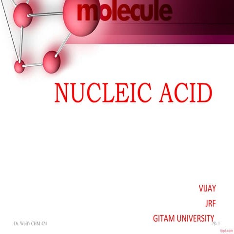Nucleic acid | PPT | Chemistry | Science