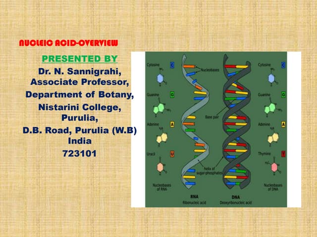 Watson and crick model of dna | PPTX