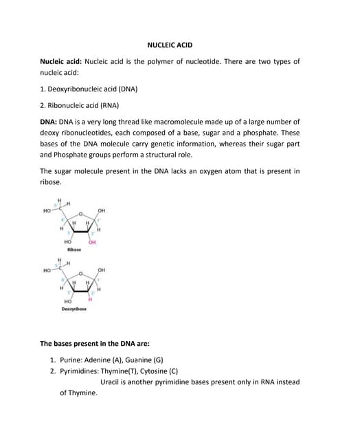 Structure of nucleic acids