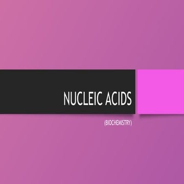 Comprehensive Overview of Nucleic Acids: Structure, Types, and ...