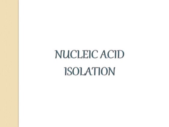 Introduction to bacteria, structure and function | PPT