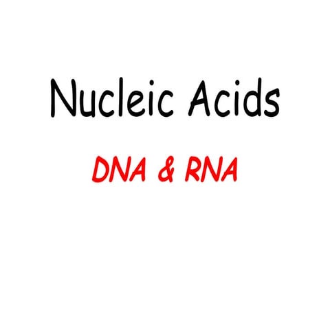 NUCLEIC ACID LECTURE, nucleic acid .pptx