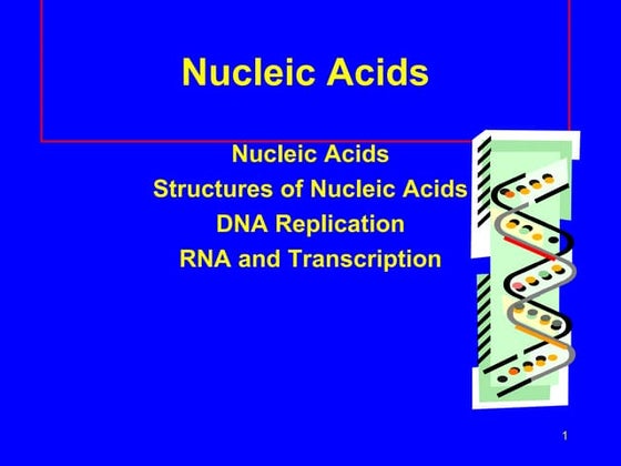 Nucleic acid | PPT