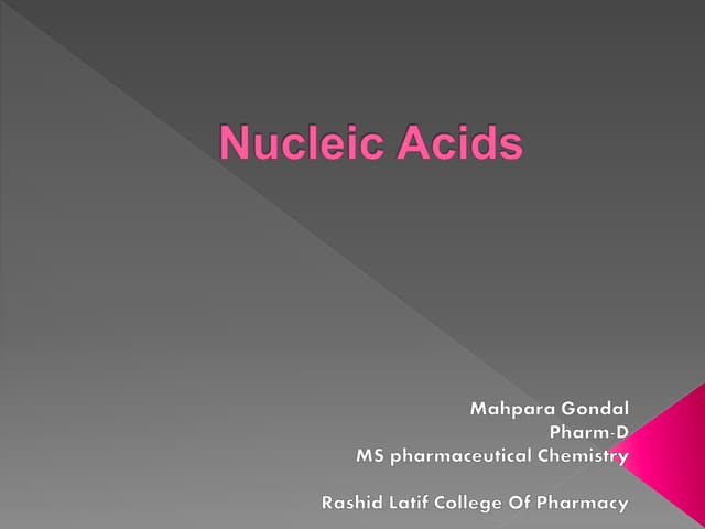 Nucleic Acids | PPT